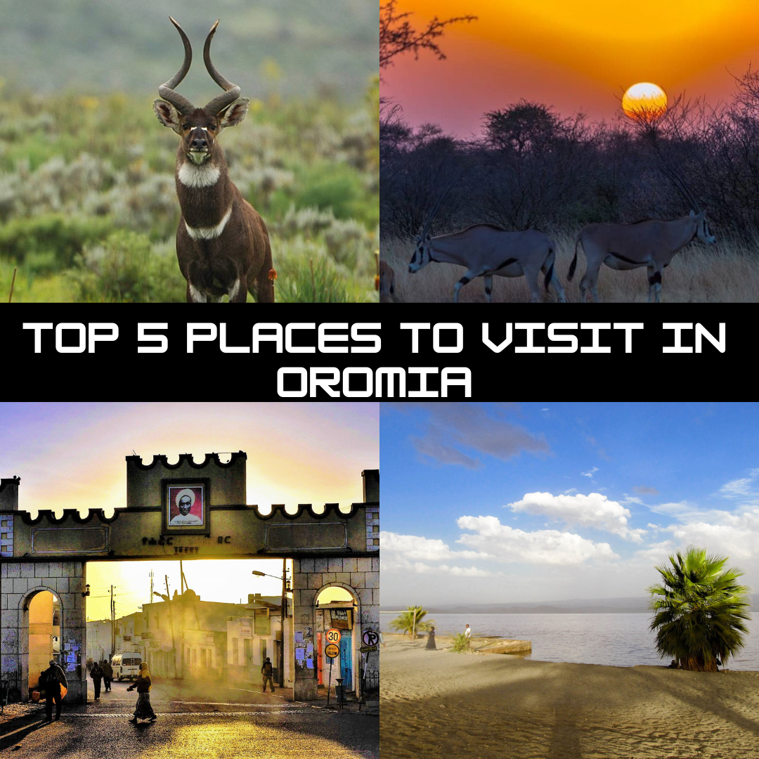 5 Places You Should Visit In Oromia Part(1) – GadaaFit